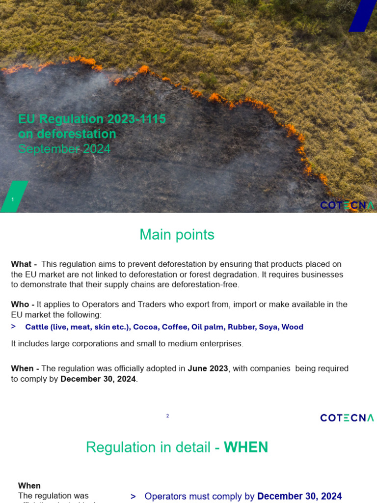 EU Regulation 2023/1115 on Deforestation | PDF | Deforestation | Due ...