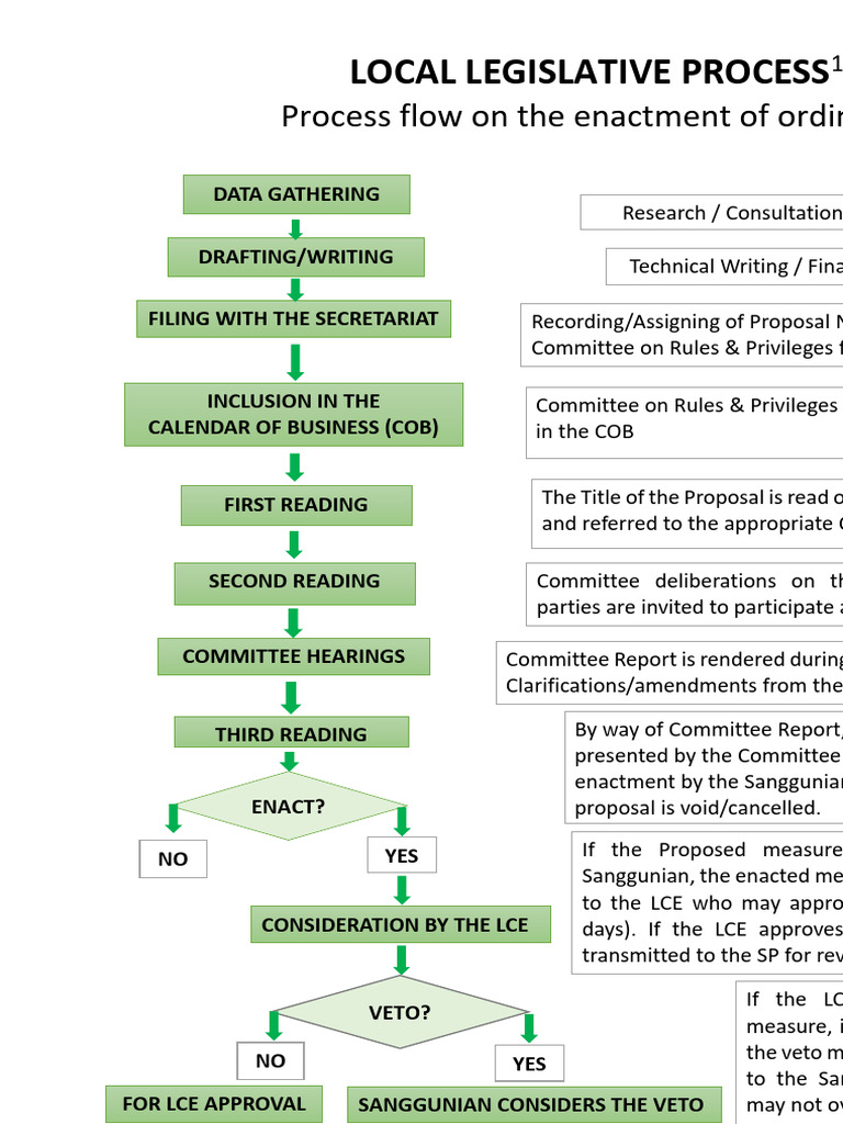 Local Legislative Process1 | PDF