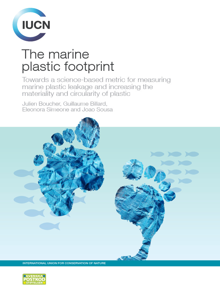 The Marine Plastic Footprint, UN Report | PDF | Life Cycle Assessment ...