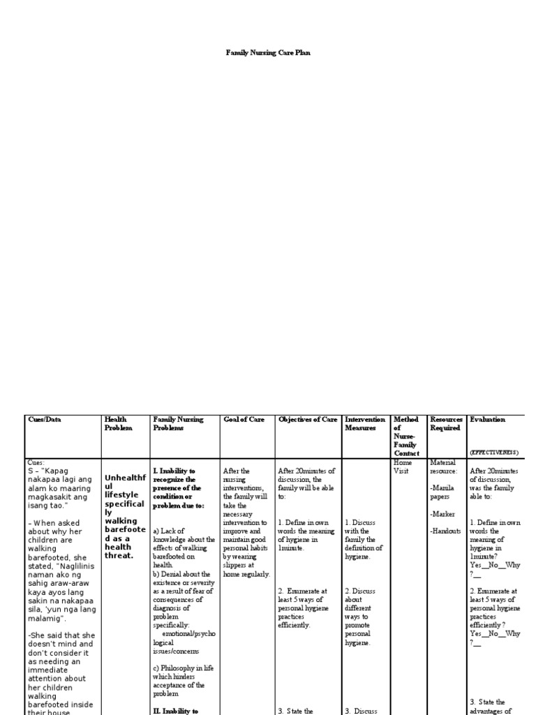 Family Nursing Care Plan for Hygiene | PDF | Self-Improvement
