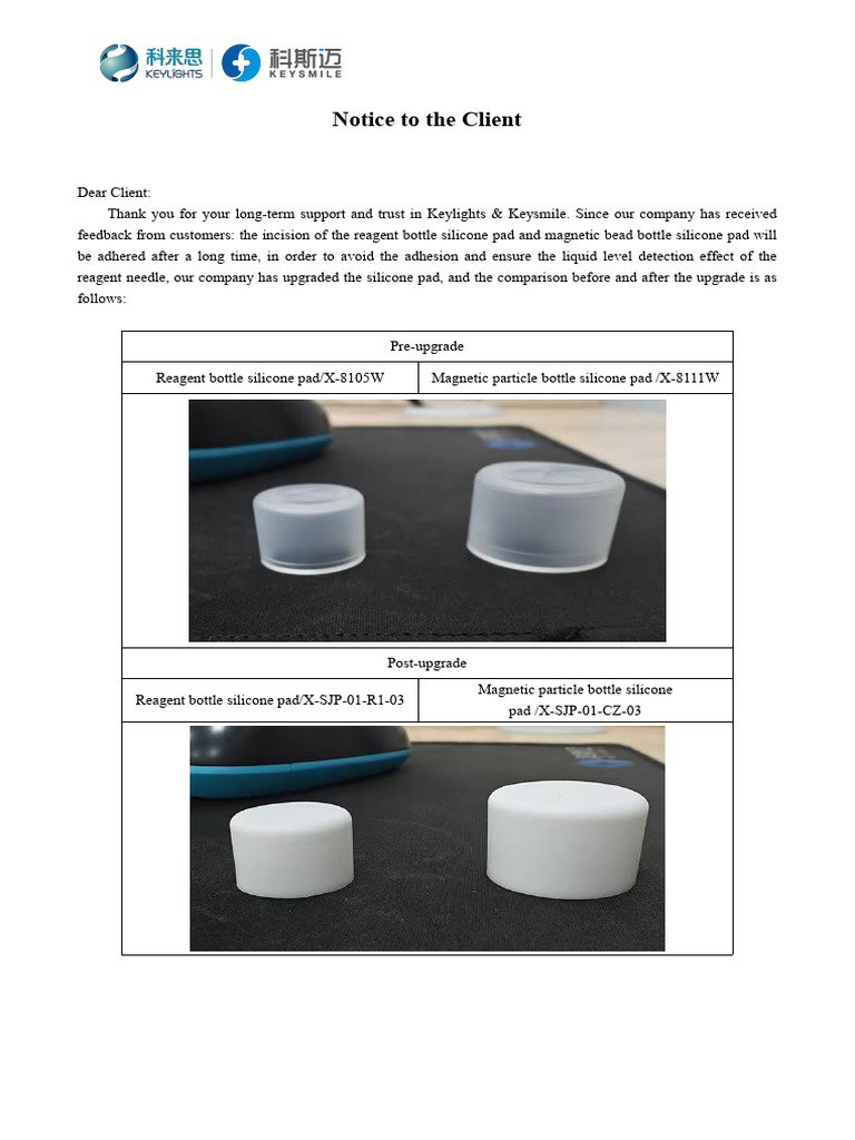 Notice To The Client | PDF