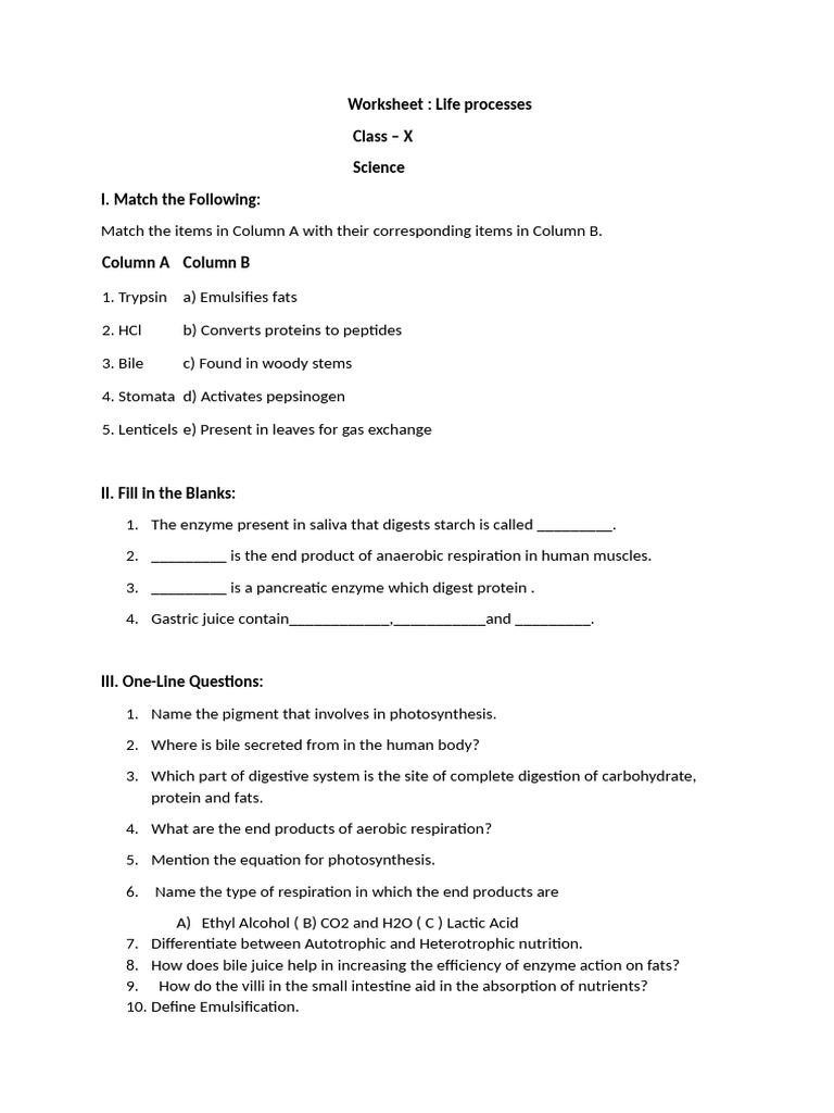 Life Processes Worksheet for Class X | PDF