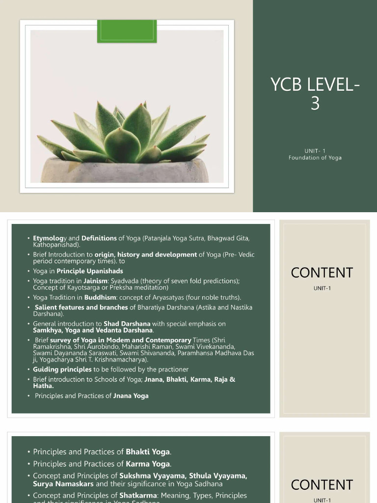 YCB - Hindi Presentation On Yoga Foundations | PDF