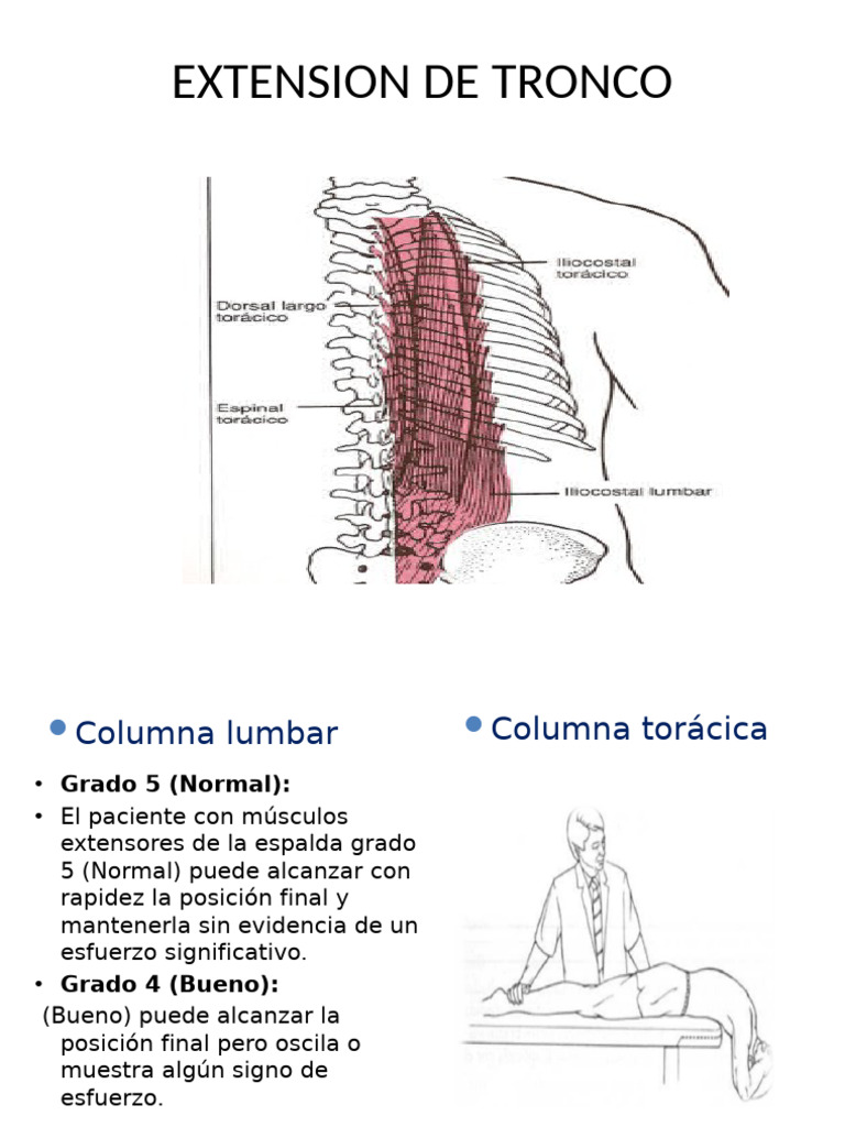 Graduación de Movimientos Corporales | PDF | Rodilla | Hombro