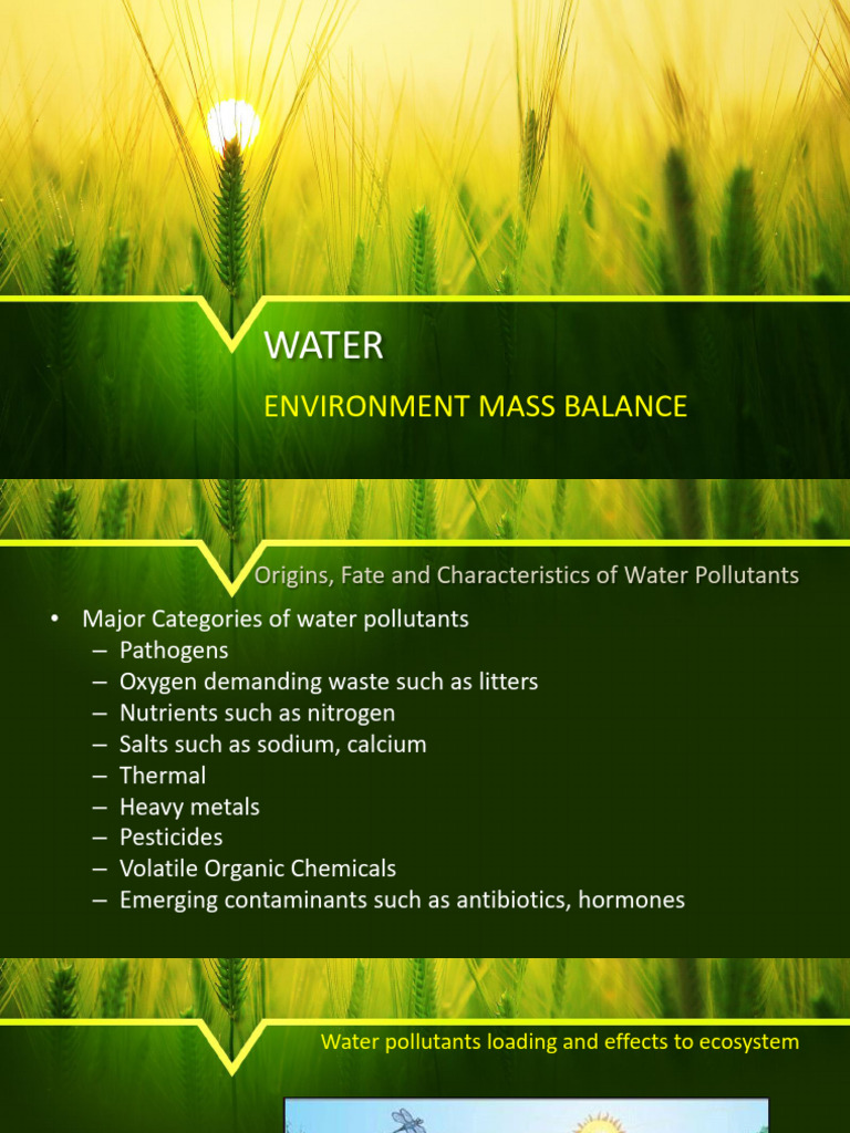 CHAPTER 3 WATER - Environment Mass Balance | PDF | Ecosystem | Water ...