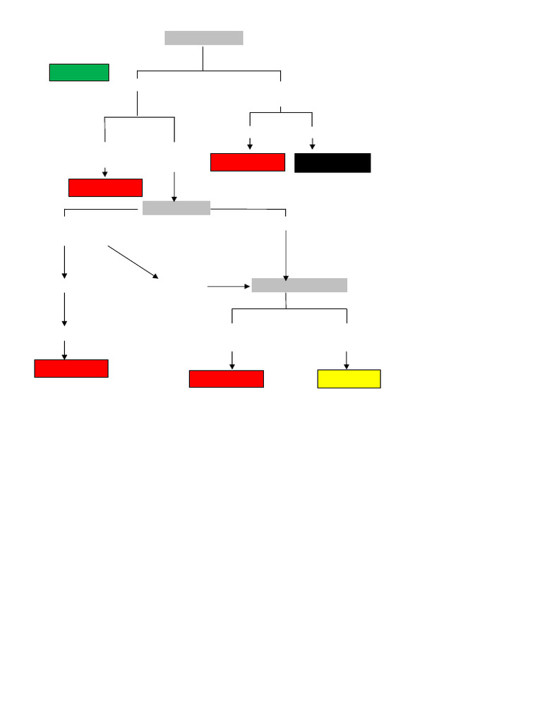 START Triage System Overview | PDF