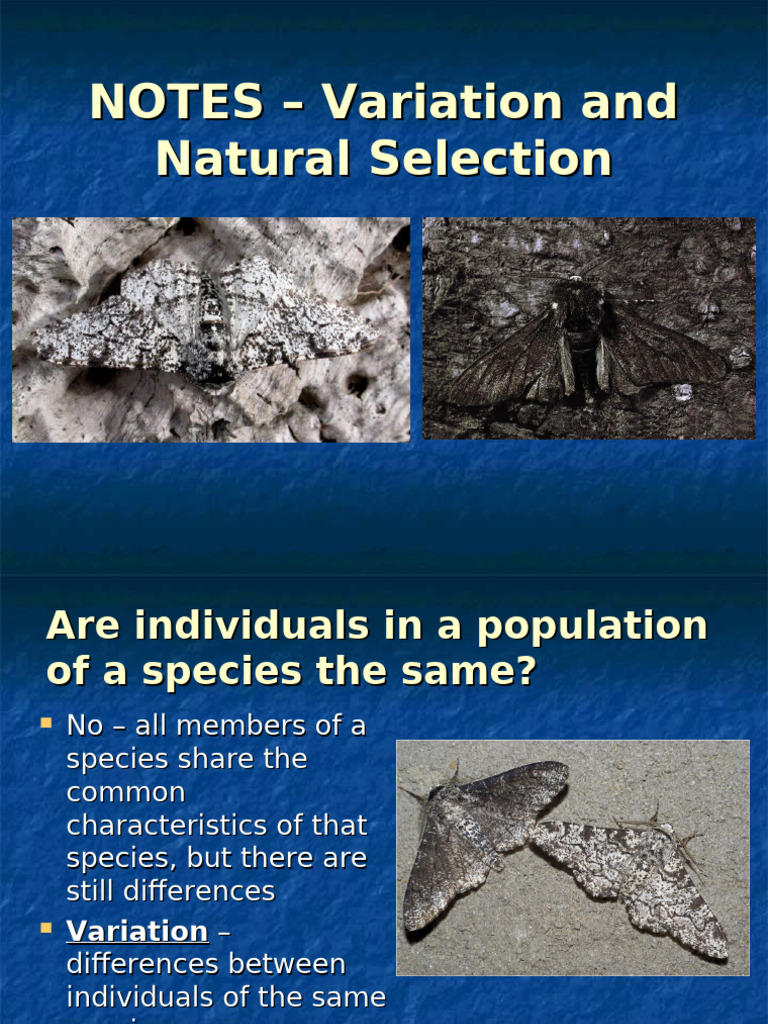 CH 18 Variation and Selection 1 | PDF | Natural Selection | Evolution