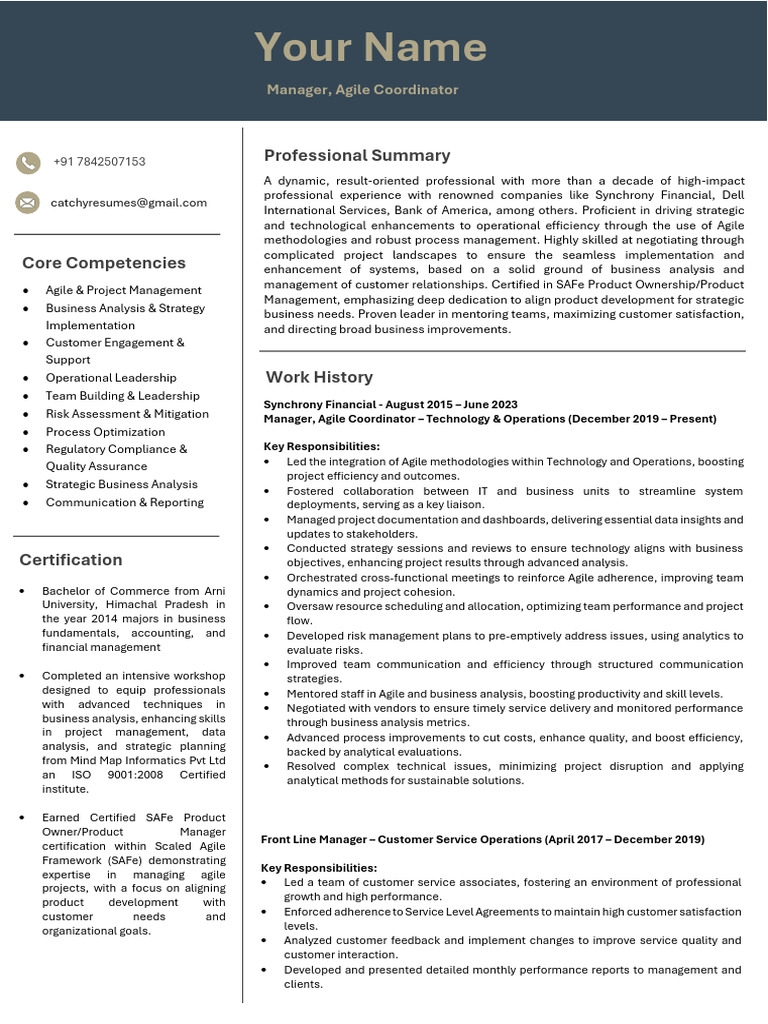 Agile Project Manager Resume Overview | PDF | Business Analysis | Agile ...
