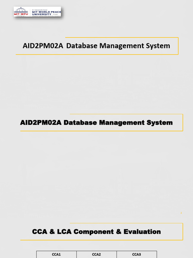Database Management Systems | PDF | Databases | Conceptual Model