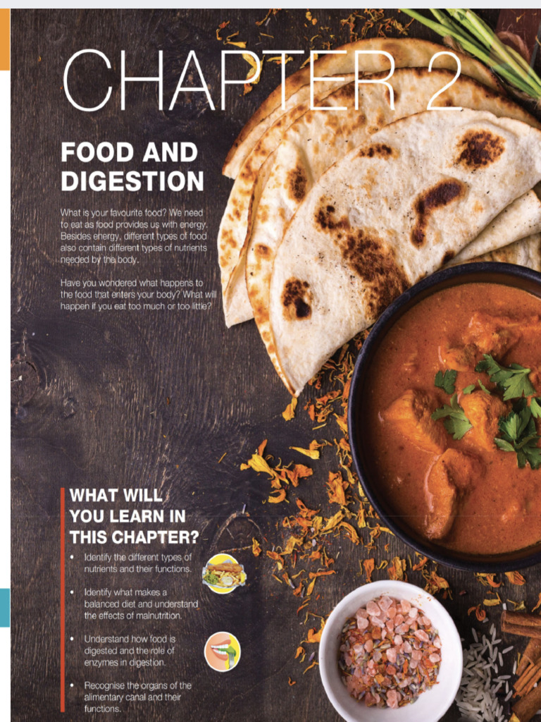 Food and Digestion Book | PDF