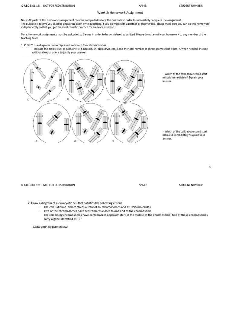 Week 2 - Homework Assignment | PDF | Ploidy | Chromosome