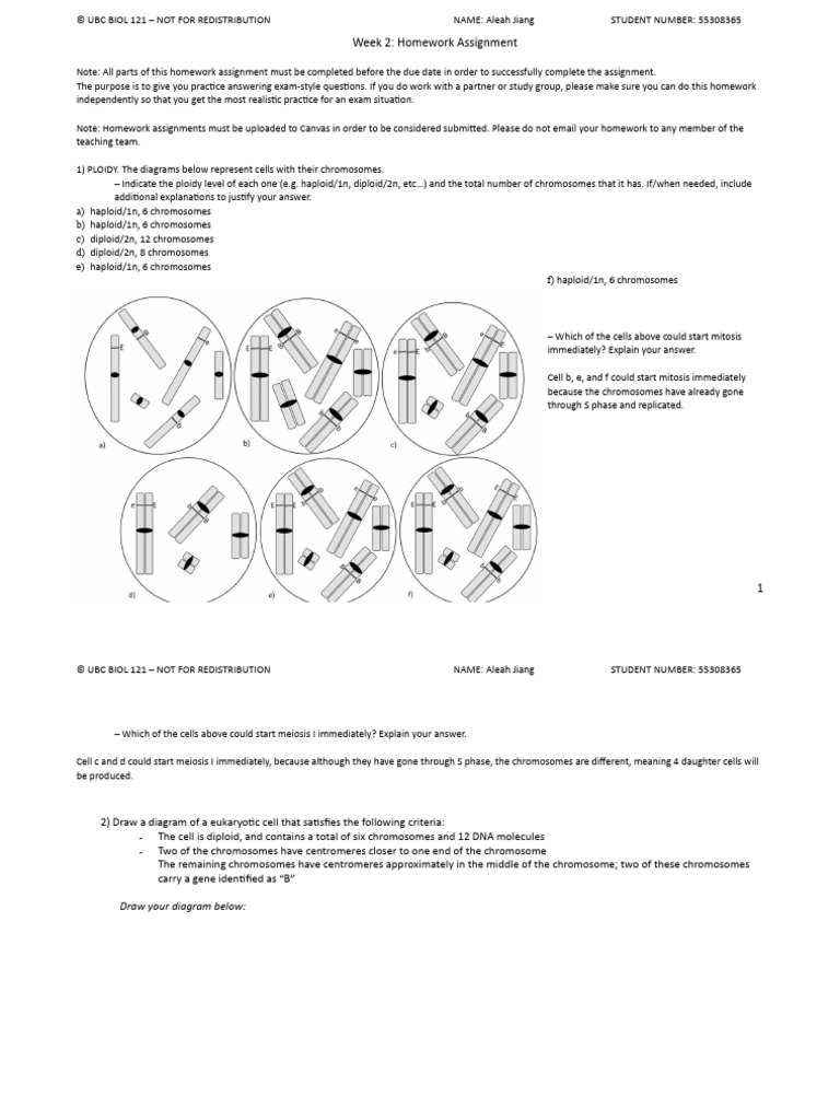 Week 2 - Homework Assignment 2 | PDF | Ploidy | Meiosis
