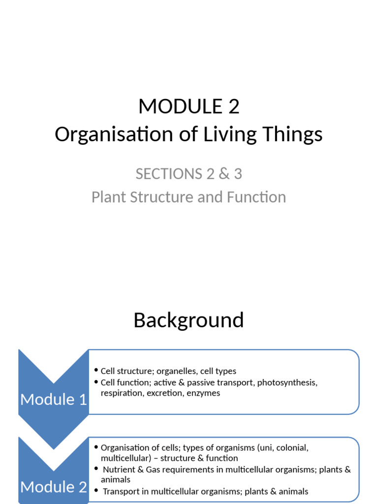 Plant Structure & Function - Transpiration | PDF | Leaf | Plant Stem