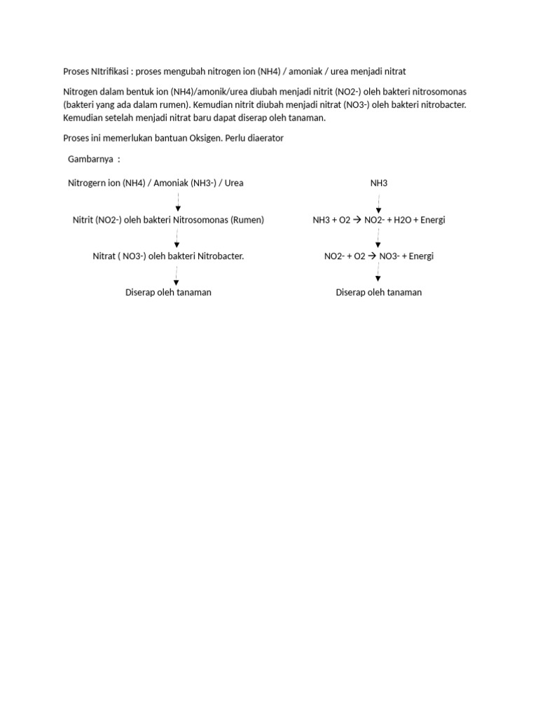 Proses Nitrifikasi (1) | PDF