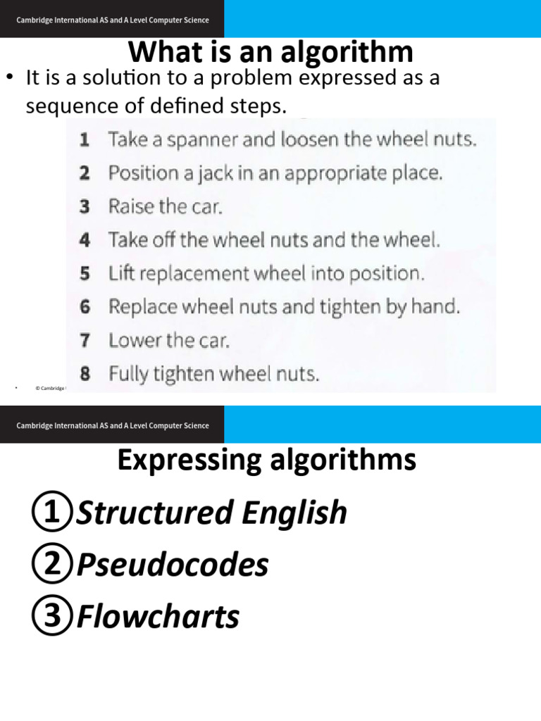 Chapter11 - Lesson1 | PDF | Variable (Computer Science) | Software Development