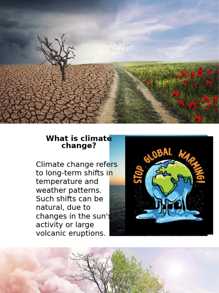 Climate Change (Science Presentation 2) | PDF | Climate Change | Island