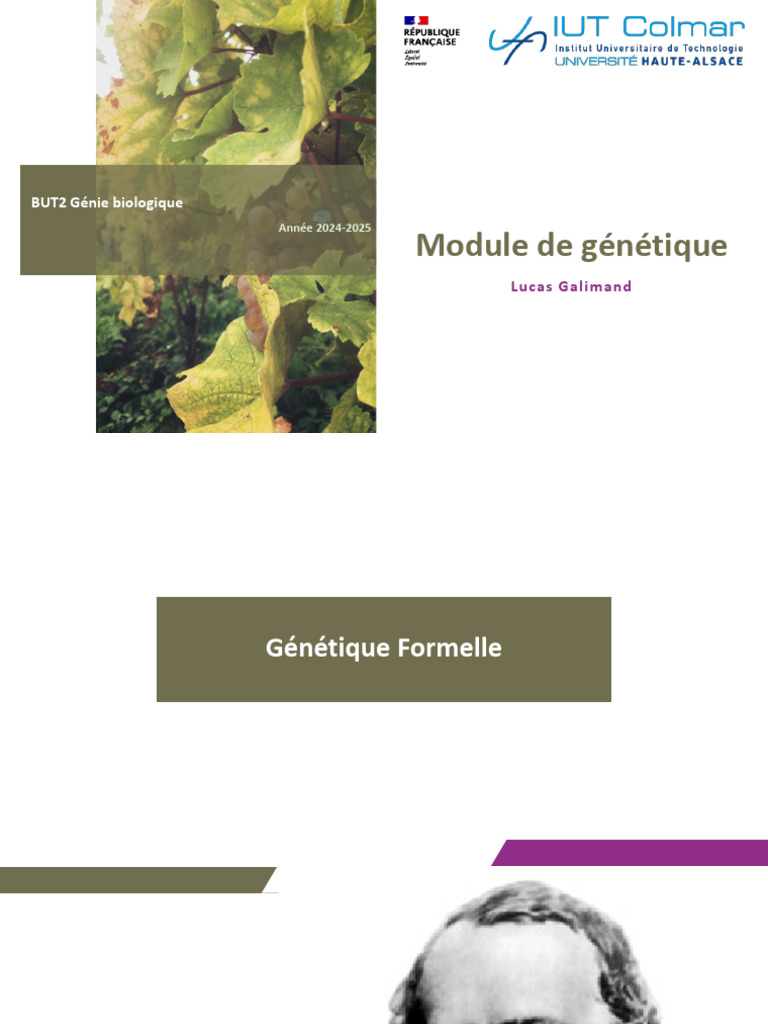 Génétique Formelle : Mendel et Hérédité | PDF | Dominance (Génétique ...
