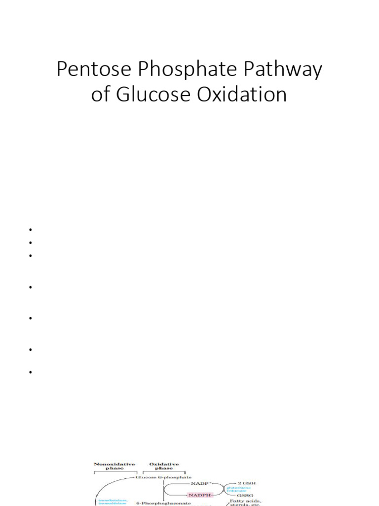 Pentose Phosphate Pathway of Glucose Oxidation | PDF | Glycolysis ...