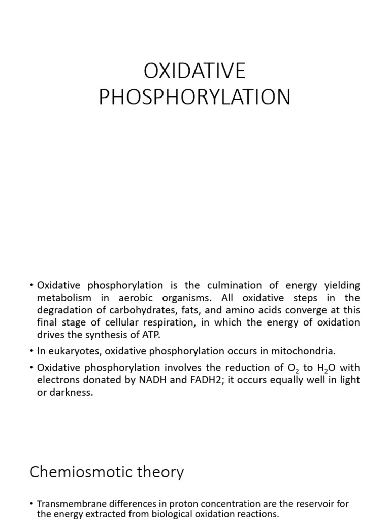 Understanding Oxidative Phosphorylation | PDF | Electron Transport ...