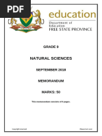 Grade 9 Term 3 Natural Science Project | PDF | Sustainable Technologies ...
