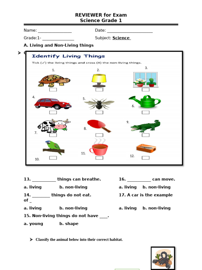 SOAL EXAM SCIENCE GRADE 1 | PDF | Plants | Botany
