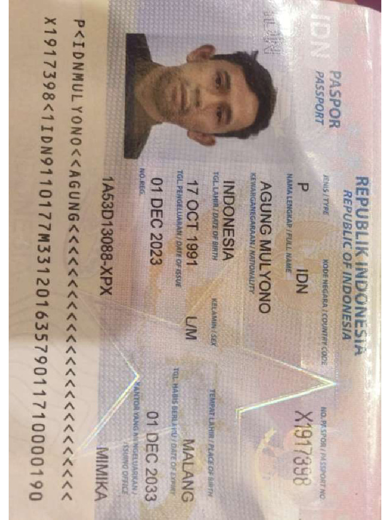 pasport pdf pdf (1) | PDF