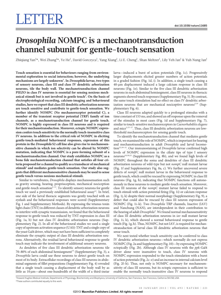 Drosophila NOMPC Is A Mechanotransduction Channel Subunit For Gentle ...