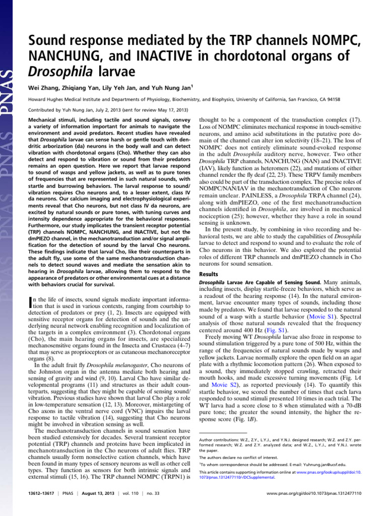 Sound response mediated by the TRP channels NOMPC, NANCHUNG, and ...