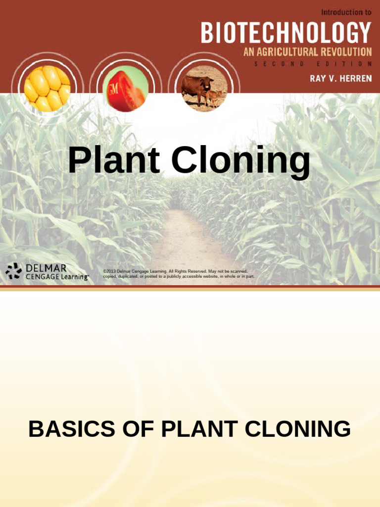 Plant Cloning 4 | PDF | Reproduction | Botany