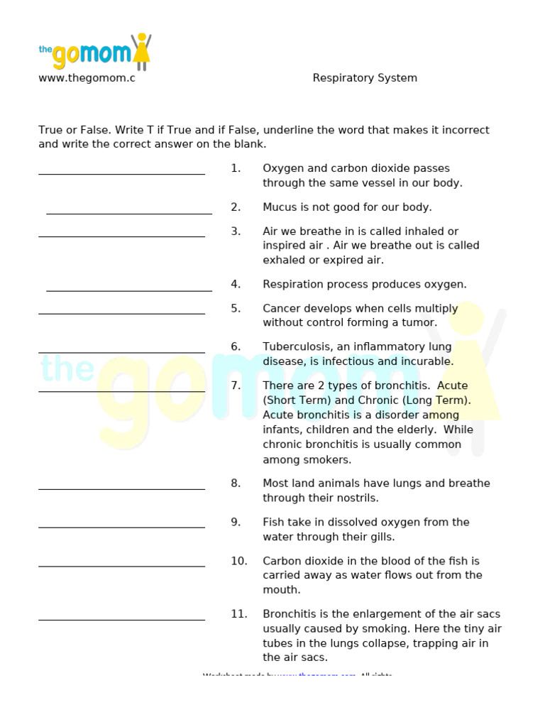 Respiratory System A Grade 5 | PDF | Respiratory System | Breathing