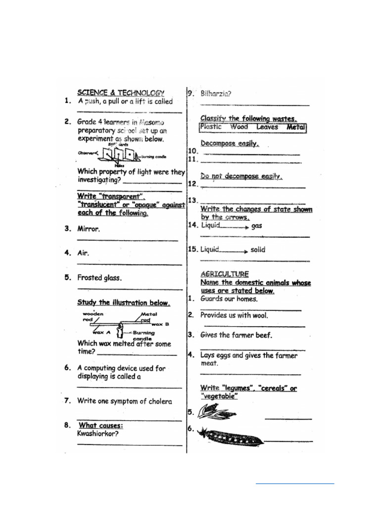 Grade 5 Integrated Science Exam 2022 | PDF