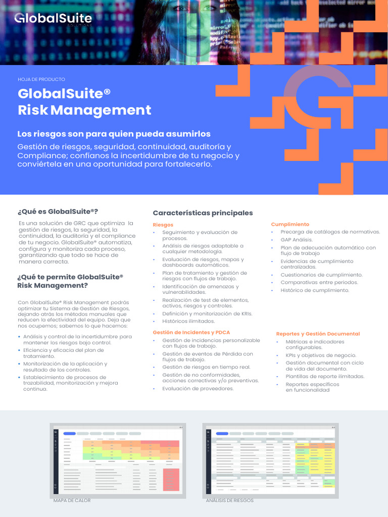 Risk | PDF | Gestión de registros | Informática