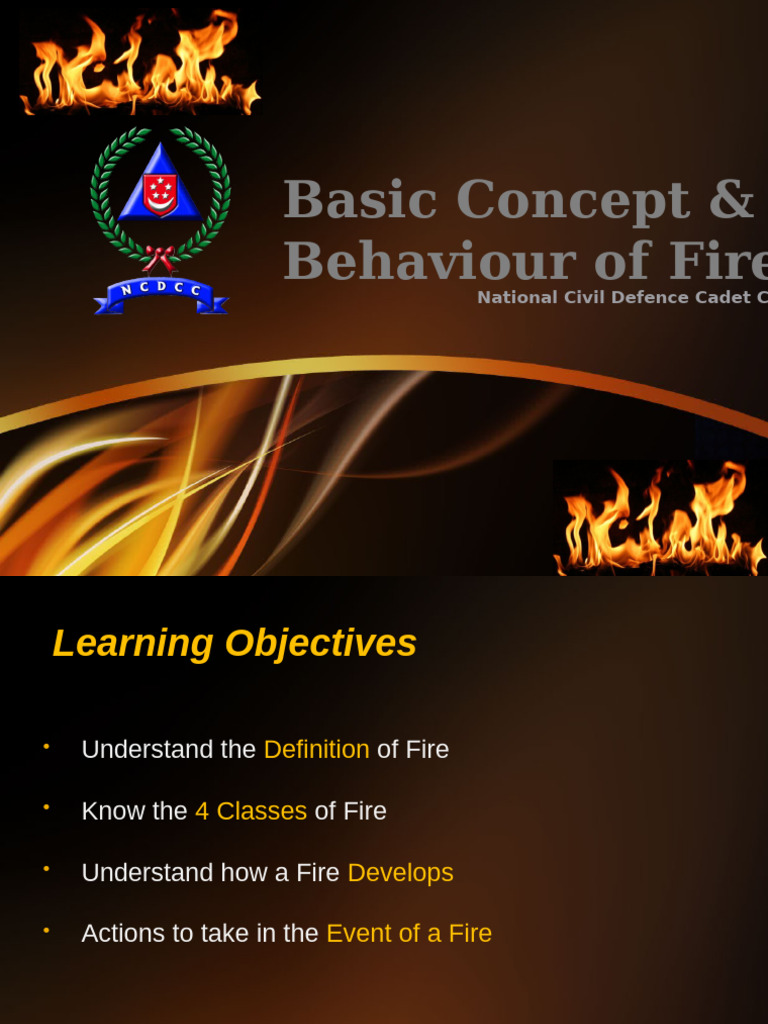 Fire Safety Basics and Prevention Guide | PDF | Fires | Combustion