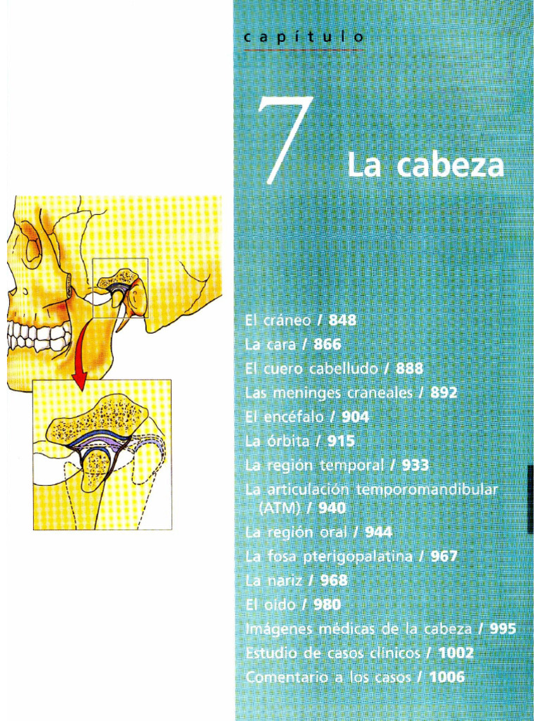Cap7 Cabeza | PDF
