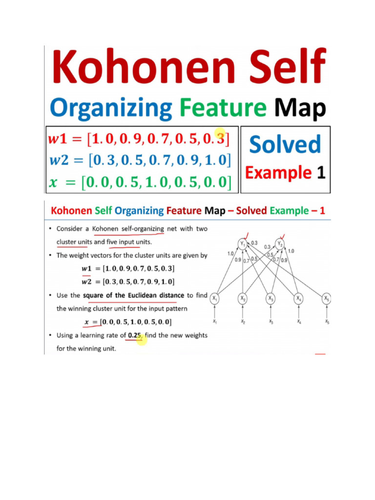 SOM Problems | PDF