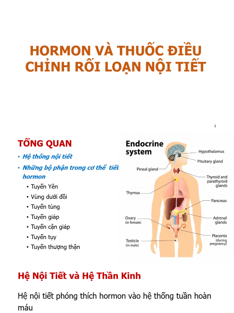 9.10. HORMON VÀ THUỐC ĐIỀU CHỈNH RỐI LOẠN NỘI TIẾT | PDF