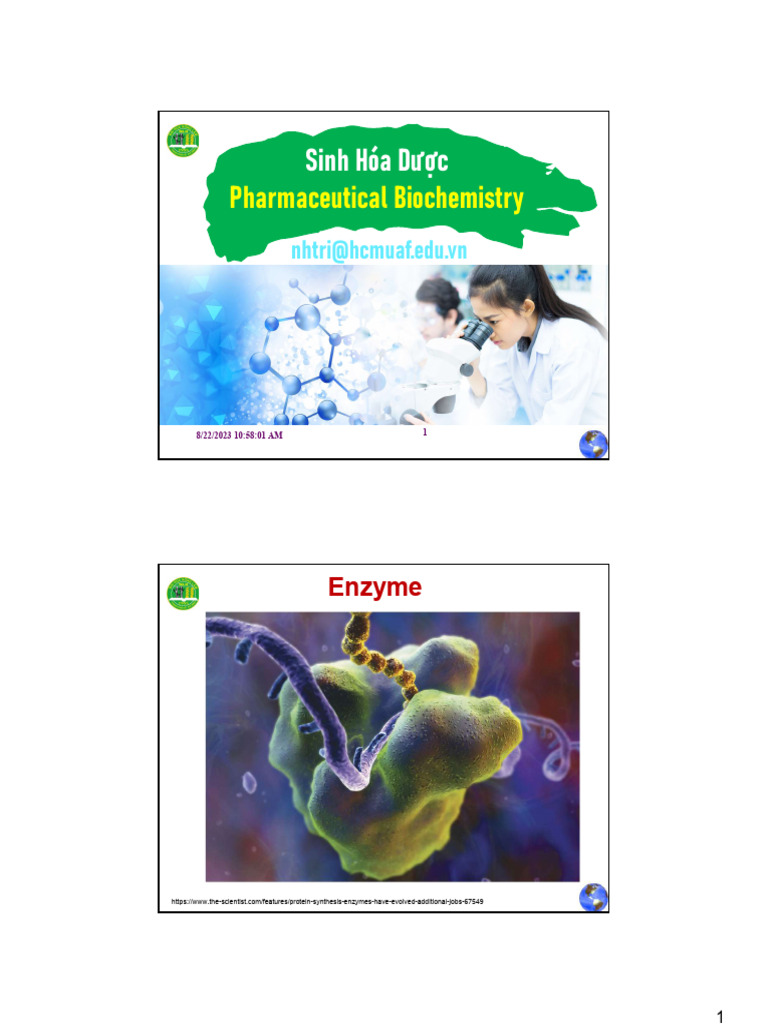 Chapter - 5 Enzyme | PDF