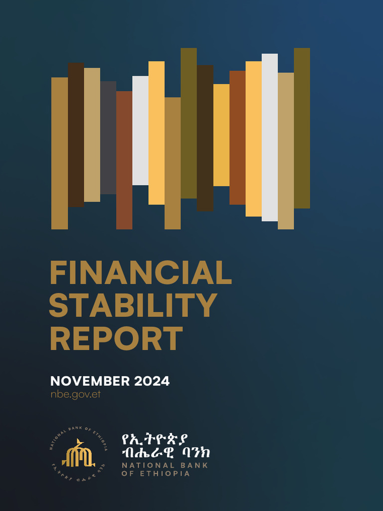 Ethiopia Financial Stability Report 2024 | PDF | Inflation | Government ...