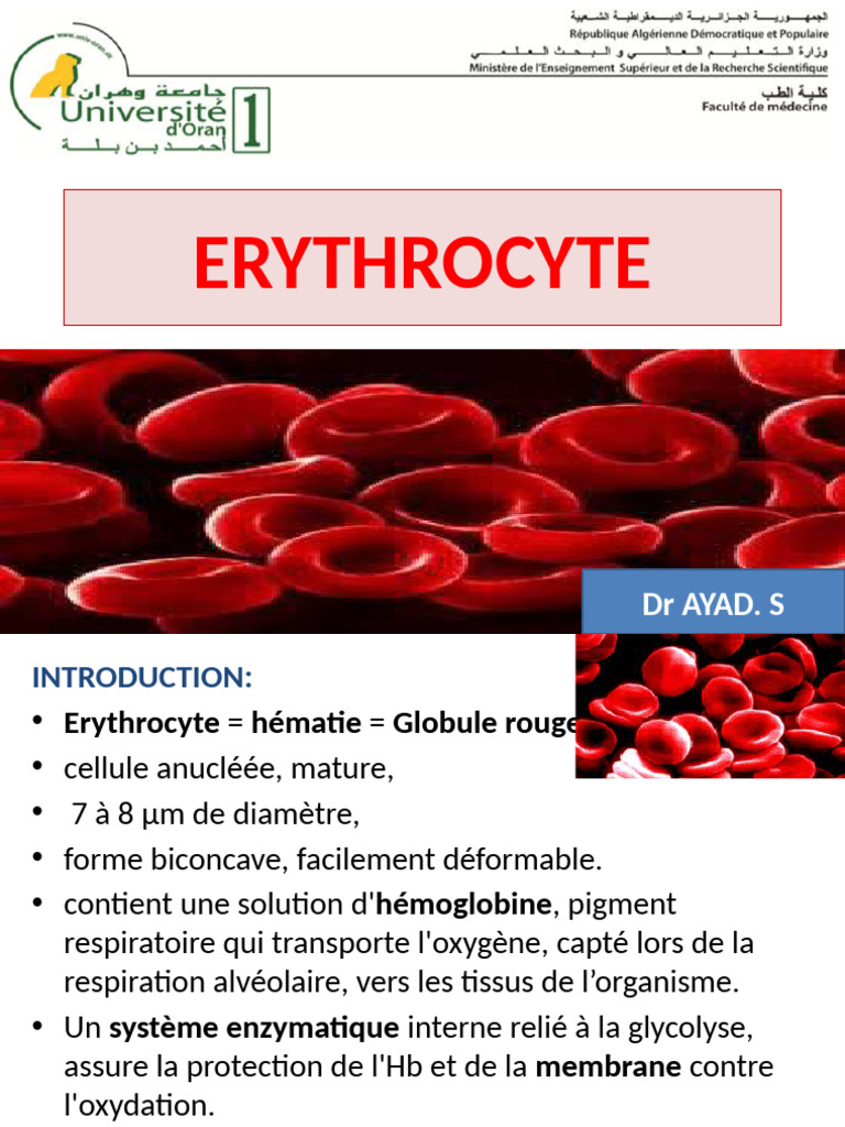 Caractéristiques des érythrocytes anucléés | PDF | Membrane cellulaire ...