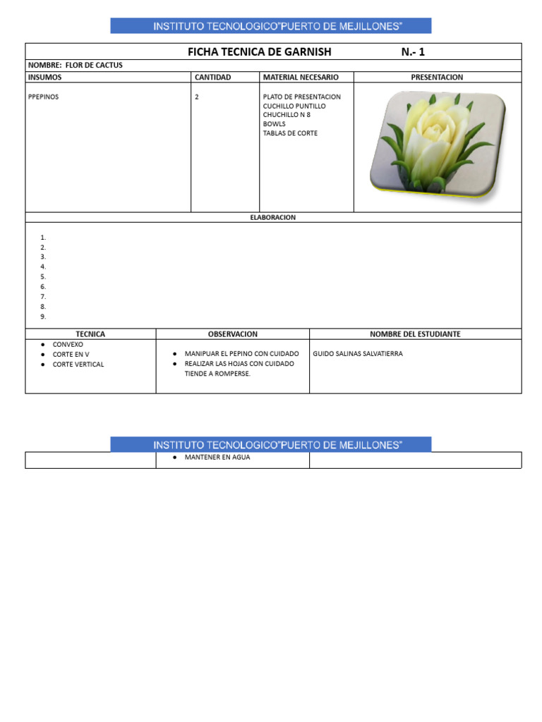 FICHAS TECNICAS DE GARNISCH.docx | PDF