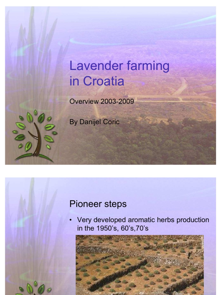 Technical Document Encoding | PDF | Technology & Engineering