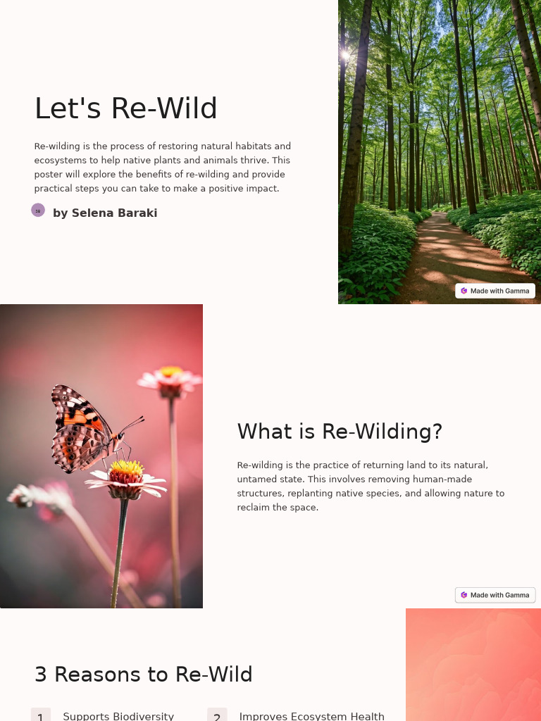 Lets Re Wild | PDF | Biodiversity | Ecosystem