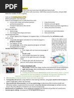 OCR (a) Biology a-level Module 2 Foundations in Biology Revision - PMT ...