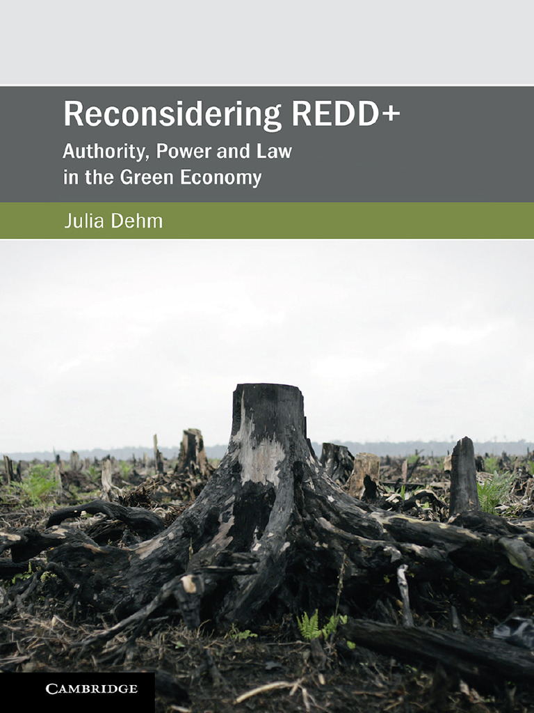 Reconsidering REDD+ Authority, Power and Law in the Green Economy | PDF | Natural Environment ...