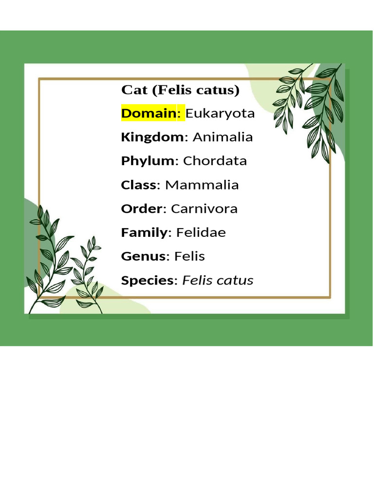 Hierarchical Classification and Ranks | PDF