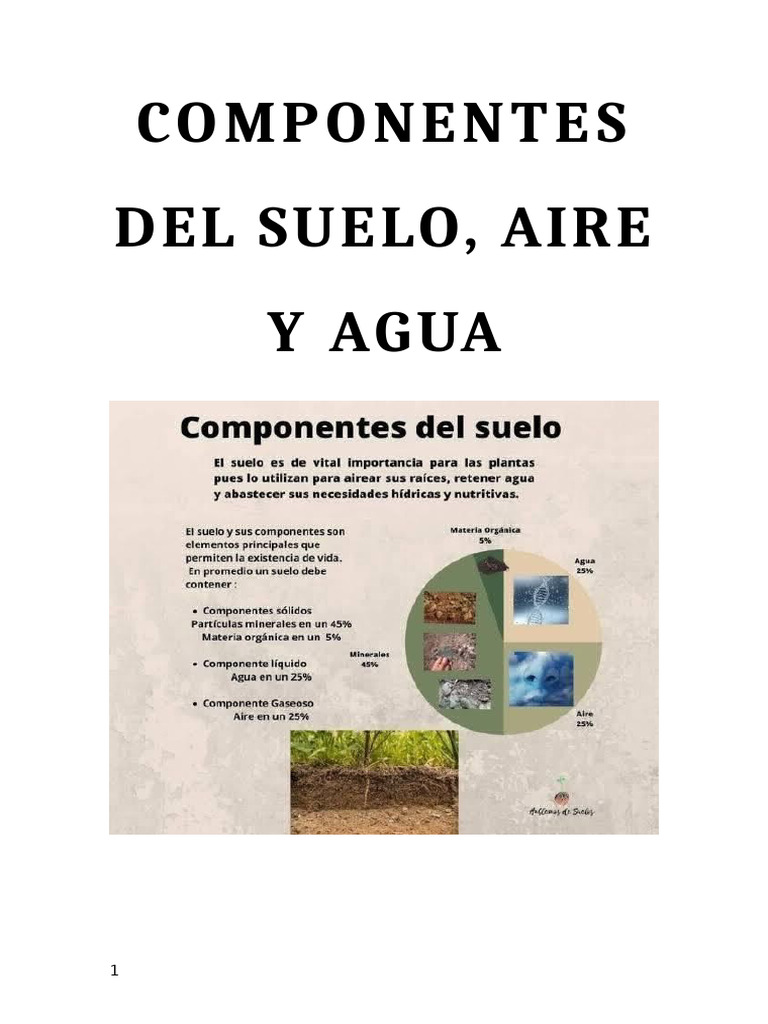 Componentes del Suelo y su Importancia | PDF | Suelo | Agua