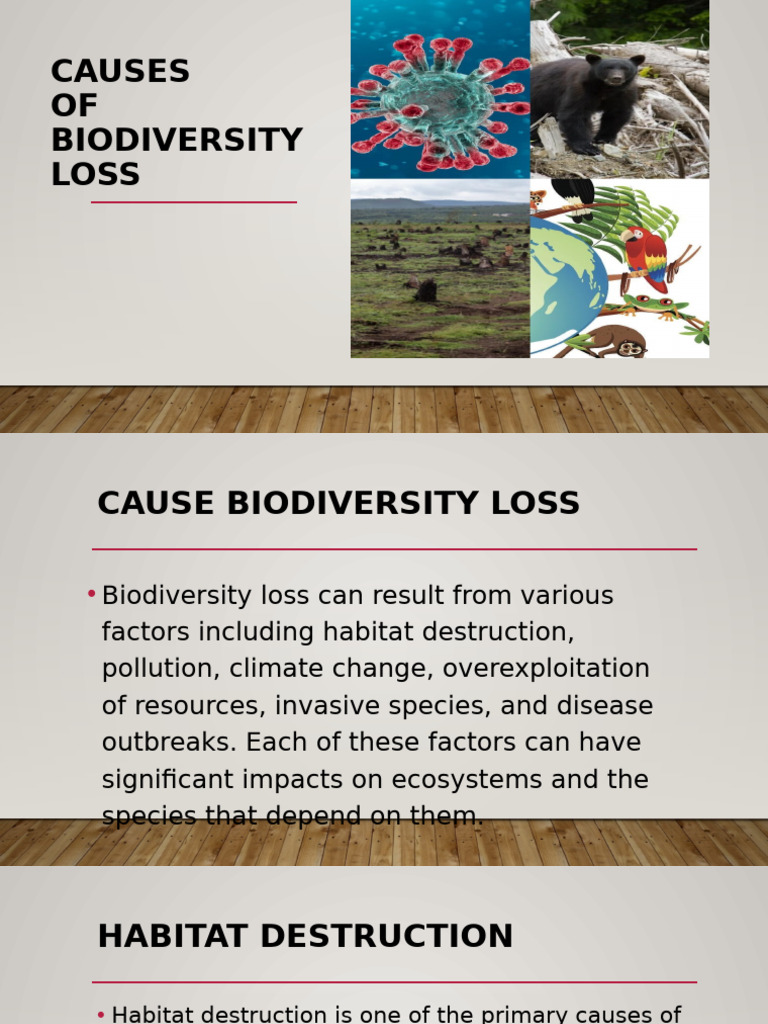 Biodiversity Pdf