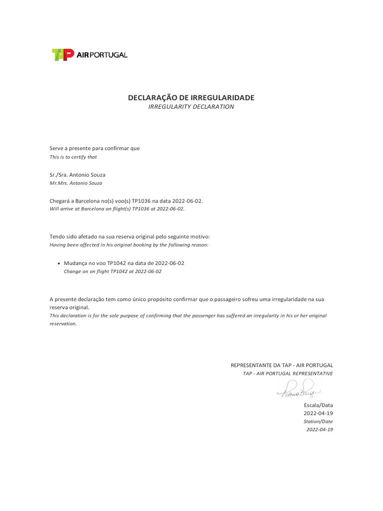 Irregularity Declaration PDFTemplate | PDF