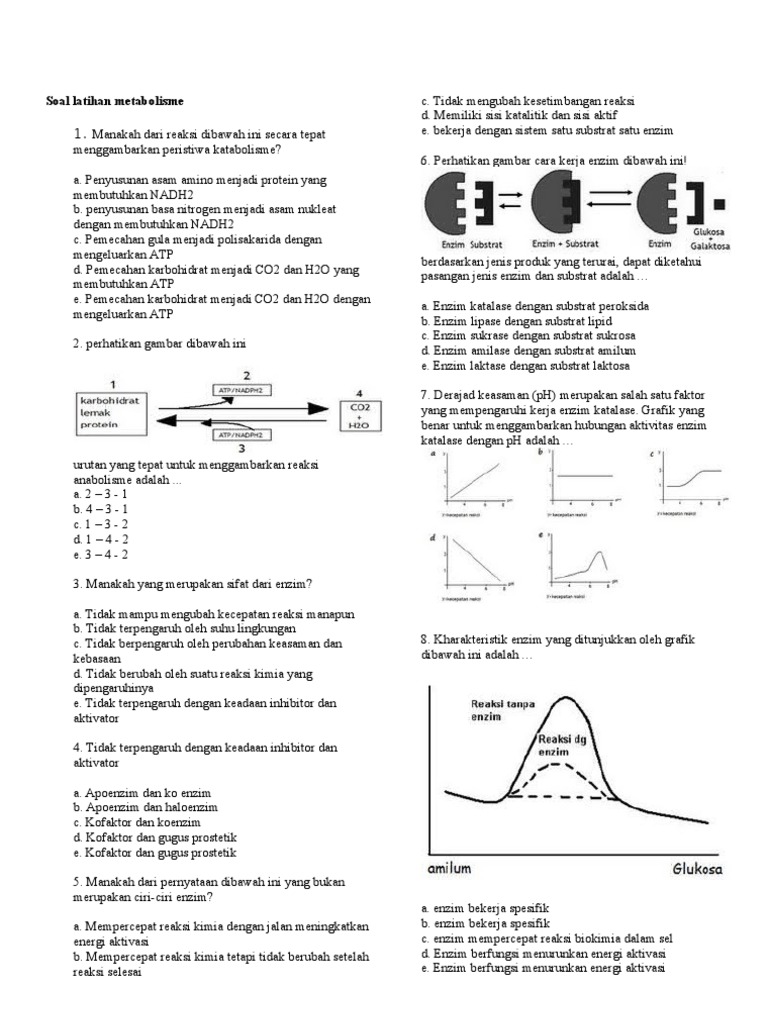 Soal Latihan Metabolisme dan Enzim | PDF | Sains & Matematika