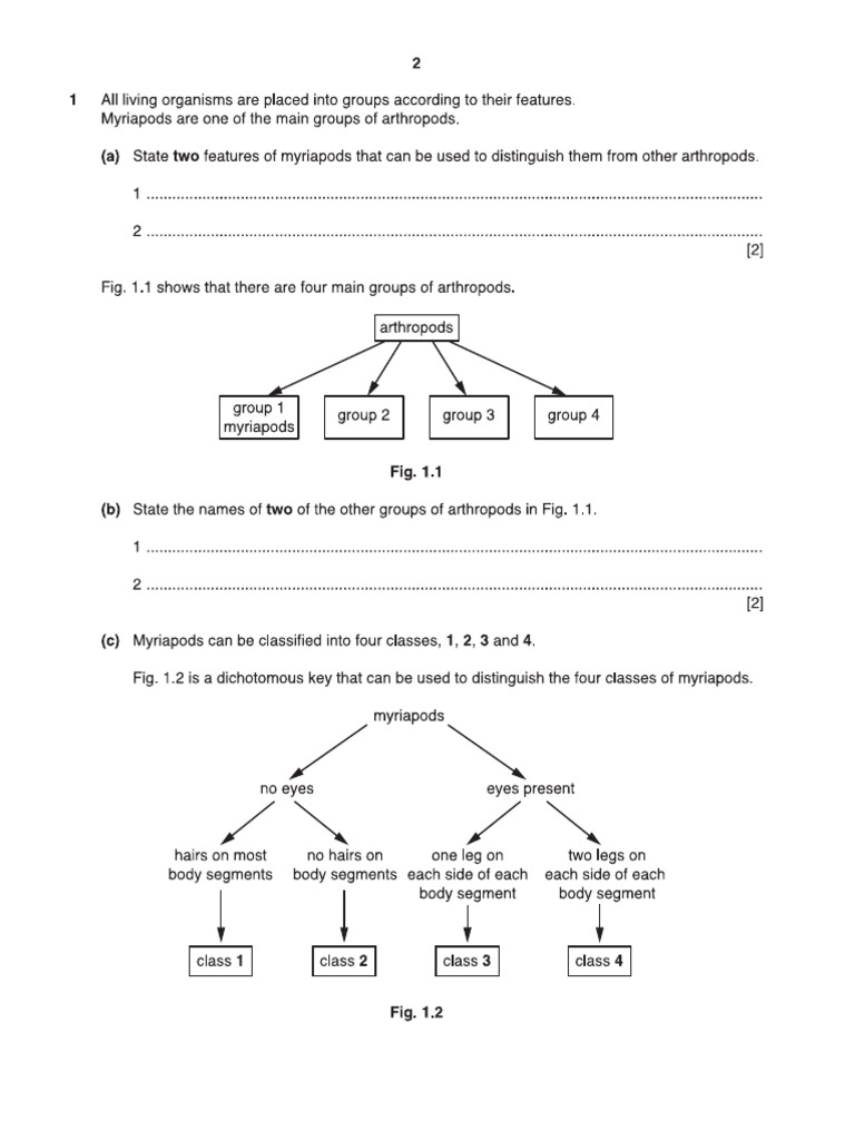 Classification Q5 | PDF